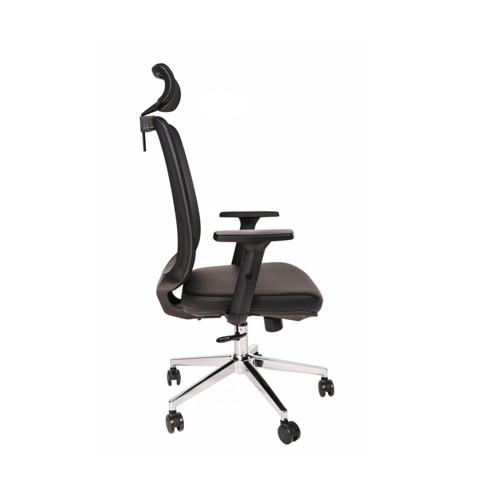 Raad | Leather | Black Frame - JERAISY FURNITURE FACTORY